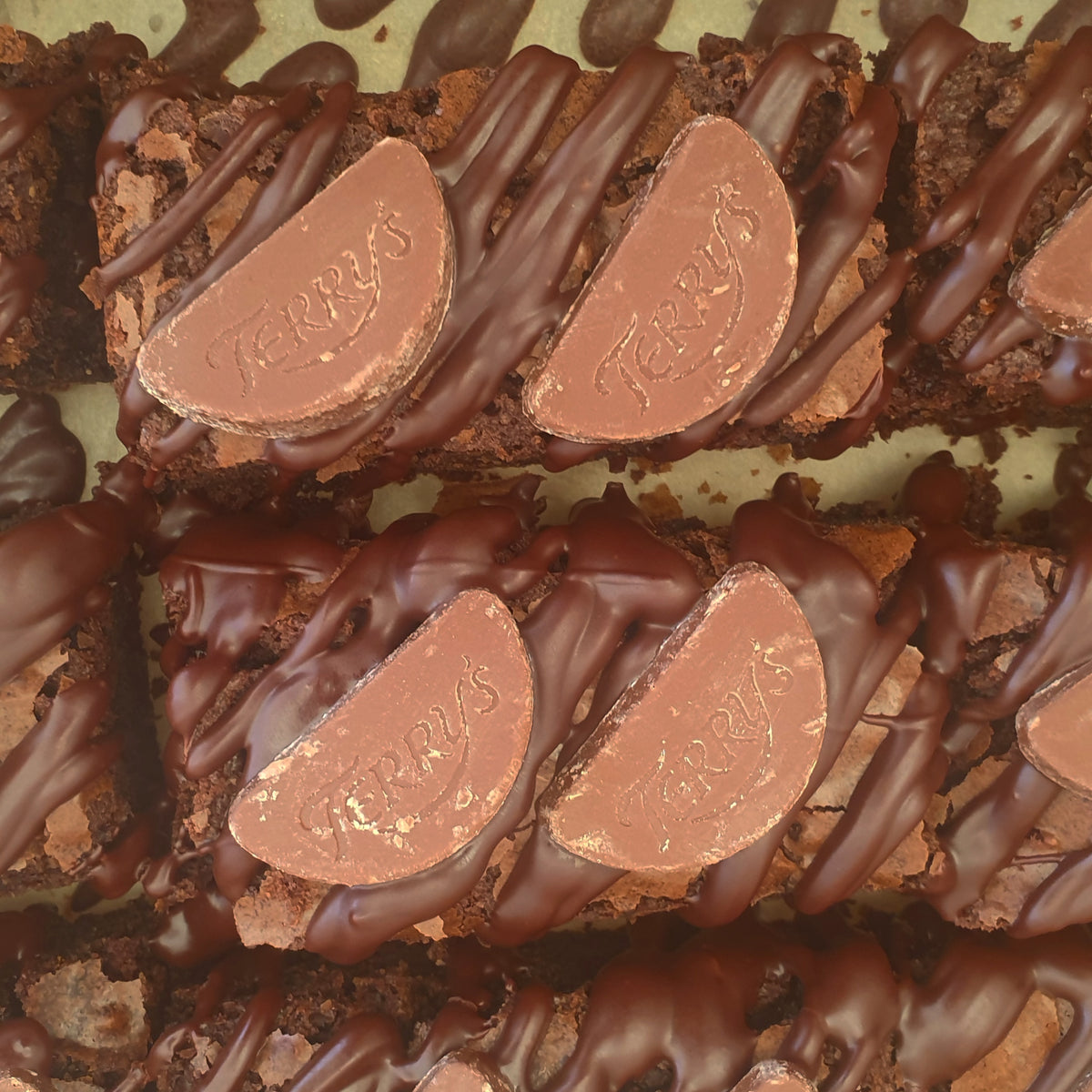 Chocolate Orange – Coco Baroque Ltd